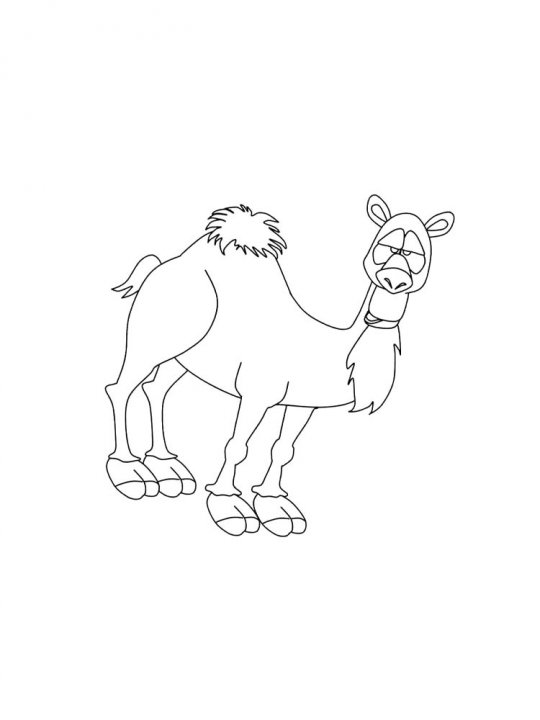 Раскраска Верблюд для детей - распечатать в формате А4