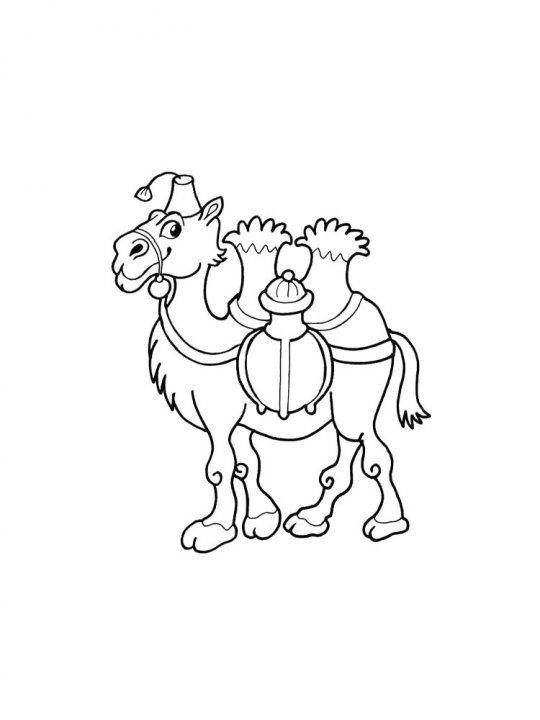 Раскраска Верблюд для детей - распечатать в формате А4