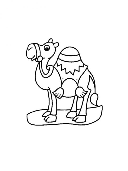 Раскраска Верблюд для детей - распечатать в формате А4