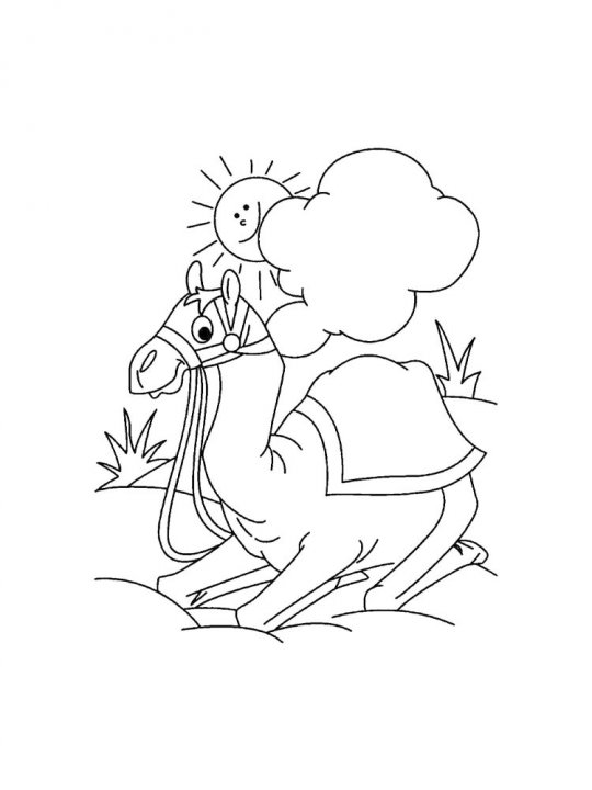 Раскраска Верблюд для детей - распечатать в формате А4