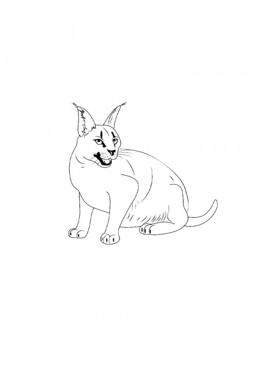 Раскраски Кот Шлёпа - Бесплатно распечатать
